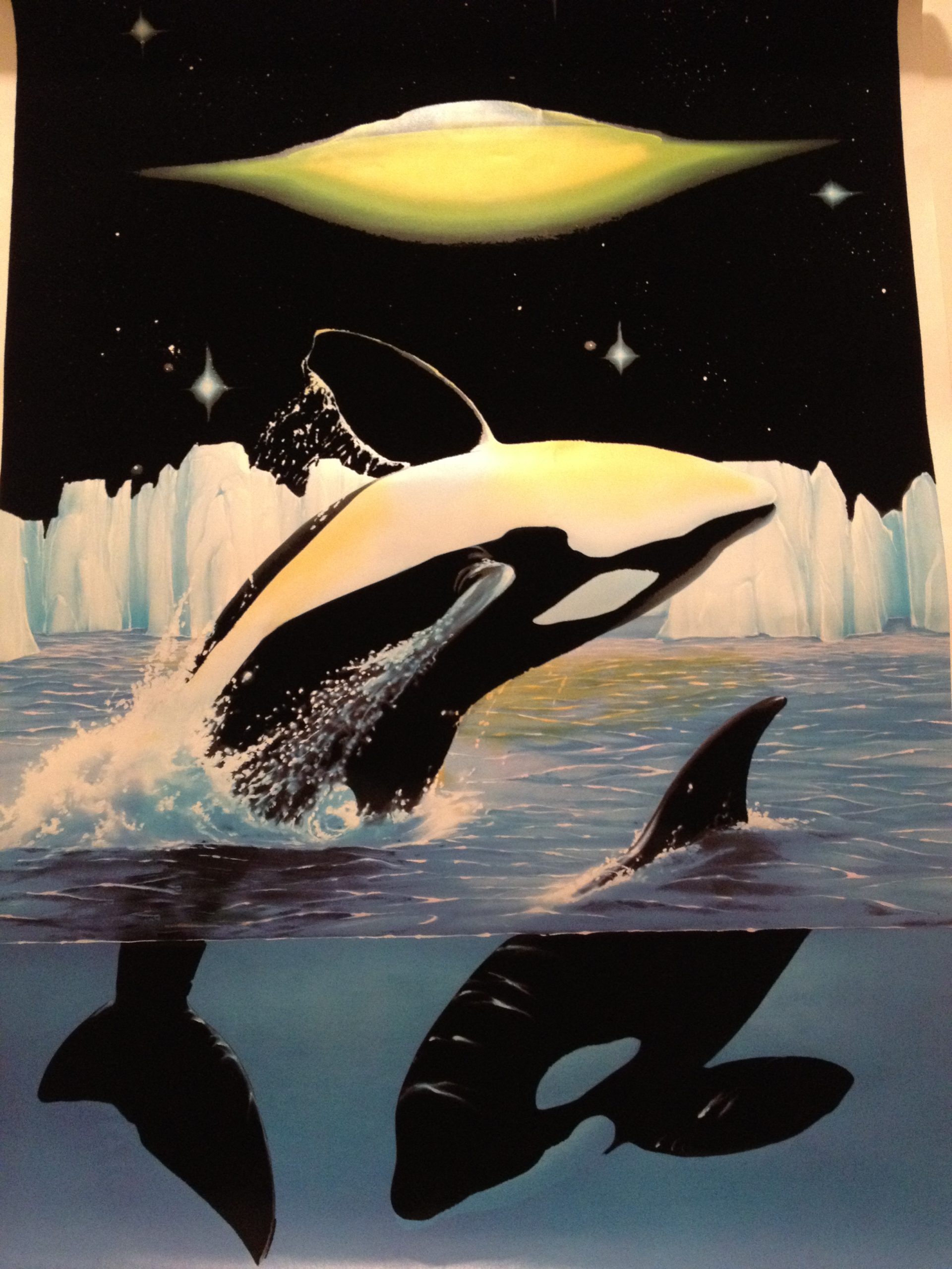 Mystery of the Orca: Masters in Our Midst?