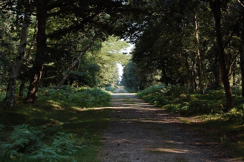 The Rendlesham Forest UFO Incident – What Happened?