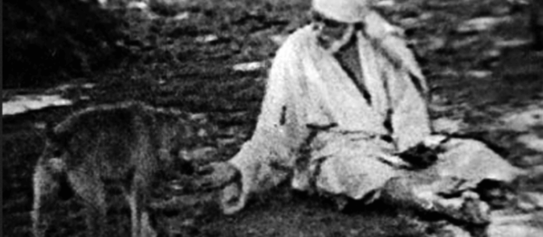 sai-baba