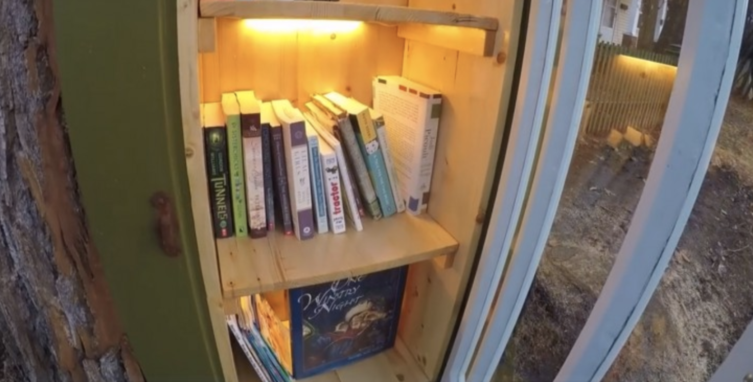 Woman Turns Tree Stump into a Magical Little Free (Tree) Library