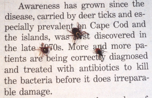 House Orders Pentagon to Say if It Weaponized Ticks and Released Them