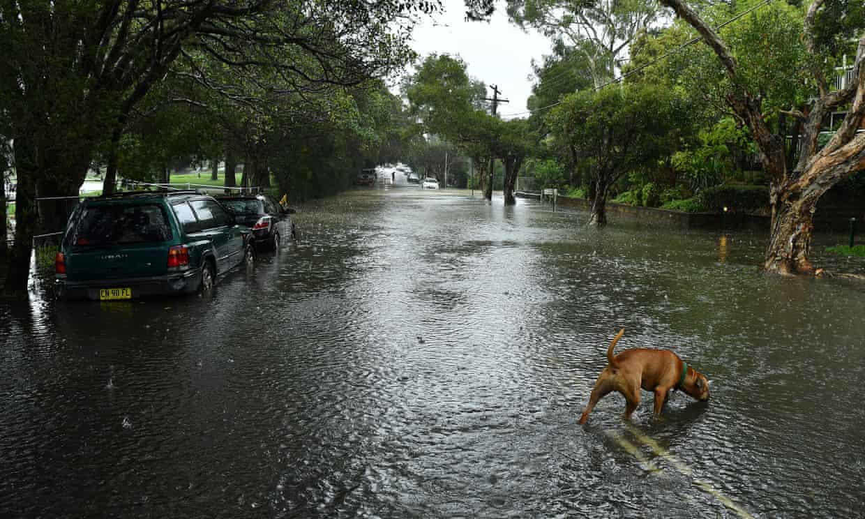 NSW Weather: Residents Evacuated from Flooded Areas and Thousands Left ...