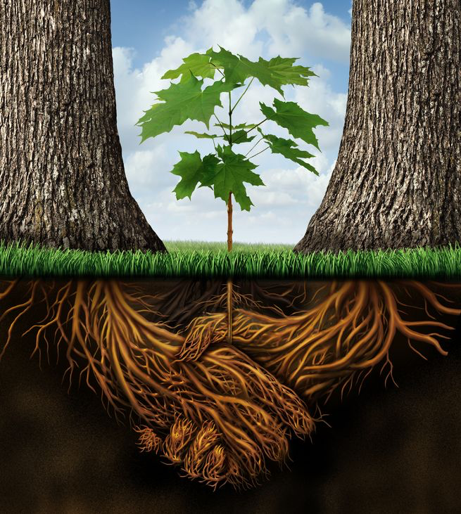 Stay Tuned For a Golden Age Forum…