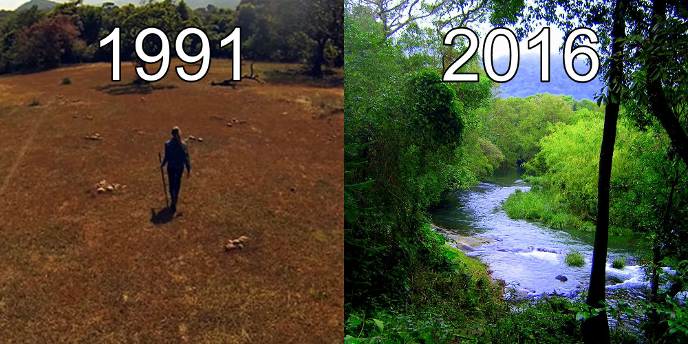 Couple Spends 25 Years Planting a Rainforest, Hundreds of Endangered ...