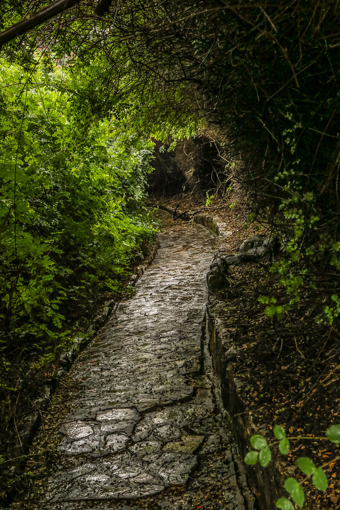 Terry Andrews ~ Finding Your Path