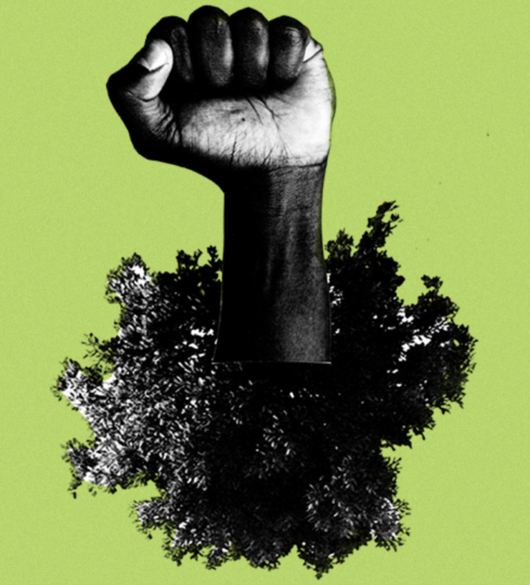 Giving Nature Human Rights, Law of the Land