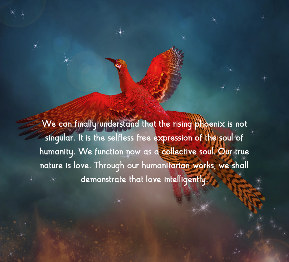 Rising Movements Defining Evolutionary Steps