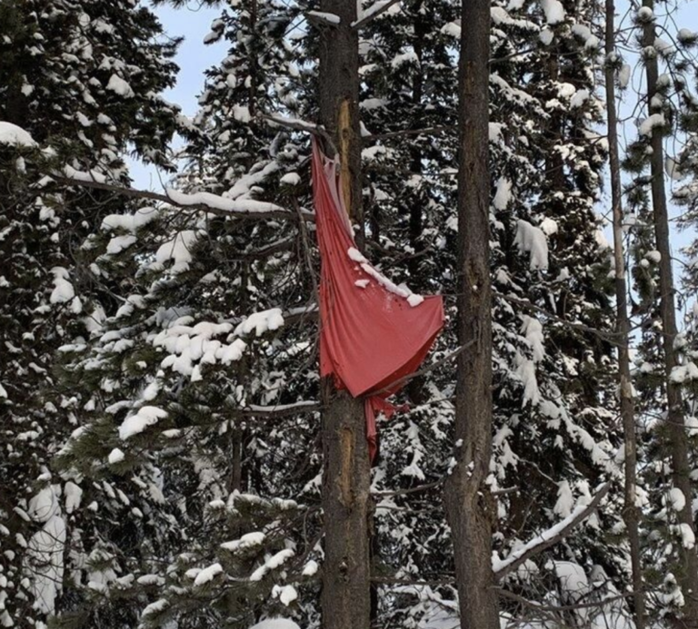 Today, May 5th, is Red Dress Day for the Missing and Murdered ...