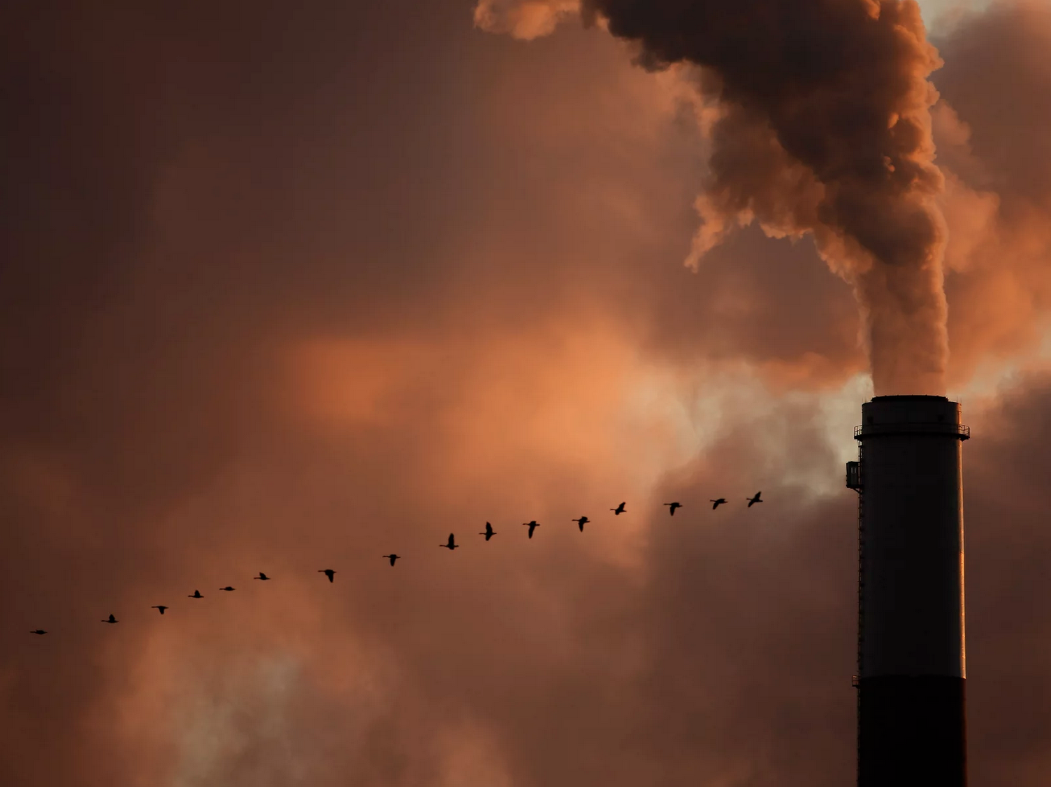 ‘Historic Moment’: Legal Experts Unveil New Definition of Ecocide