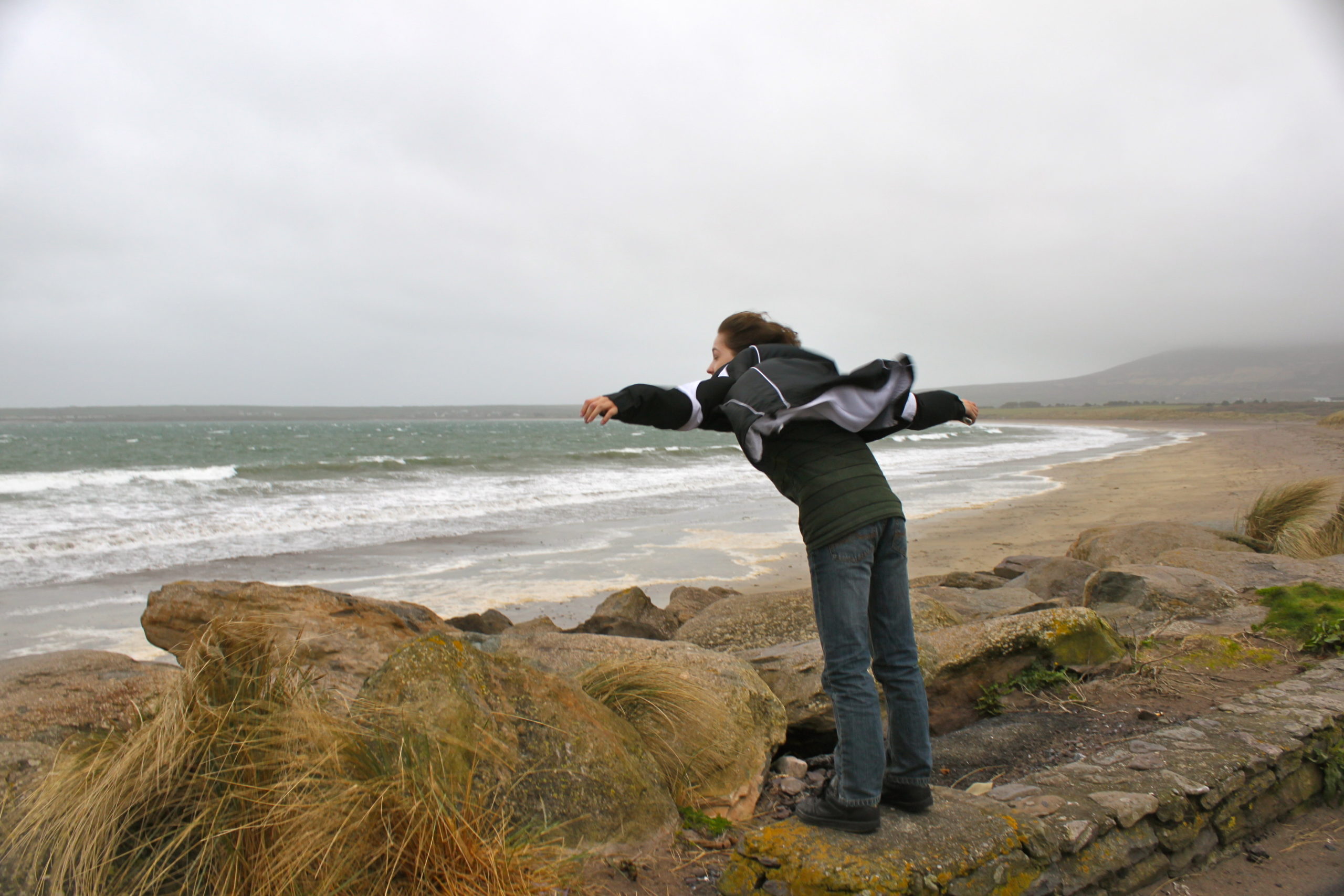 Digger: Blowing in the Wind