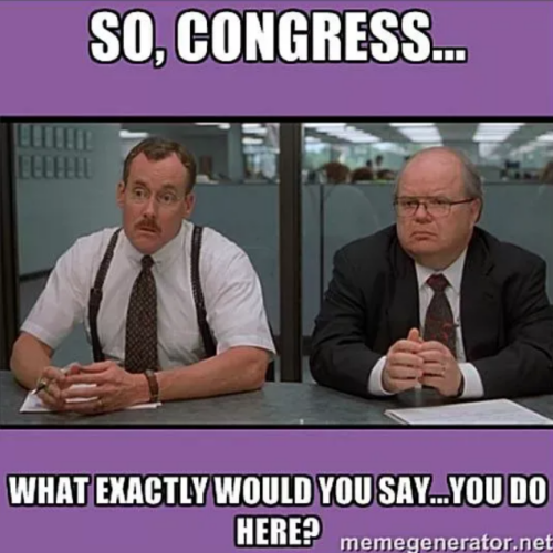 Dr Jan Halper-Hayes ~ Congress: Your Jig is Up