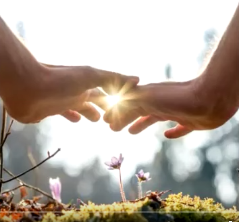 Allison Coe ~ Two Weeks, Six Months, and One Year After an Event