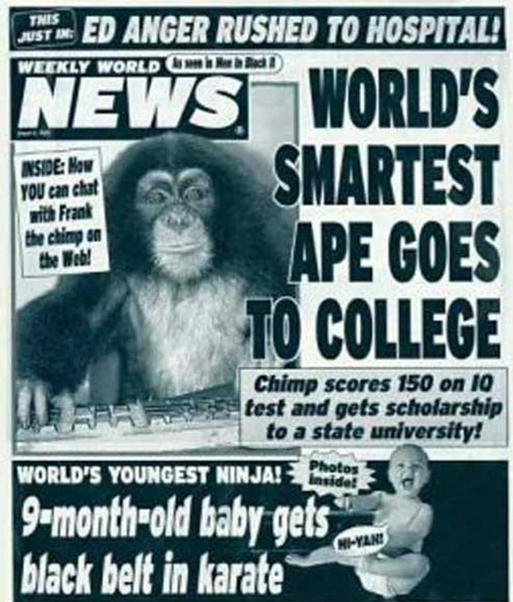 A Few Headlines to Review for “News Lite,” September 3, 2025