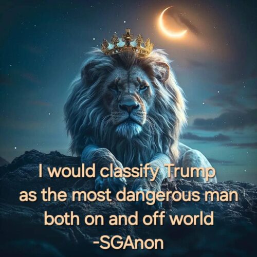 Dr. Jan Halper, Ph.D ~ Why Donald Trump Has the Perfect Presidential ...